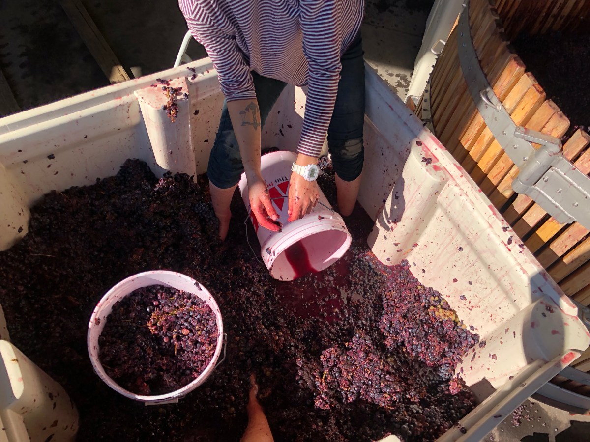 Farm Strong – YOU Are HERE